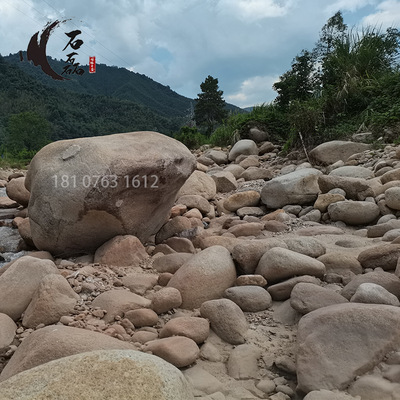 河滩石河卵石水冲鹅卵石水冲石产地批发填充石料大量供应砾石源头