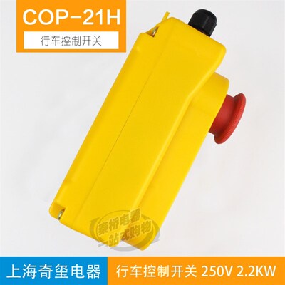 COP21H行车按钮开关吊车开关 起重按钮 升降按钮 上下开关 电葫芦