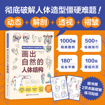 画出自然的人体结构 彻底攻克解剖学与褶皱的难点 韩国CLASS101人体绘画课程临摹范本硬核知识绘画技巧例图参考书北京科学技术出版