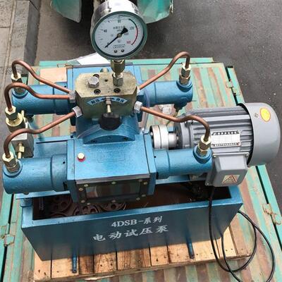 DSB电动4YNA试压泵 阀门测机 清压水道介质管打压泵