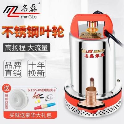 德国进口名磊直流潜水泵电瓶电动车家用农用抽水机12V24v48V60V井