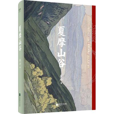 正版夏摩山谷文艺女神袁泉庆山2019重磅长篇充满泪水与光亮的爱之书我们要经历软弱与匮乏才会懂得正面意义的珍贵与庆山安妮宝