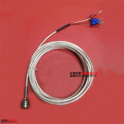 。强磁热电阻A级WRE-31PT100测温探头热电阻400度3000mm测温热电