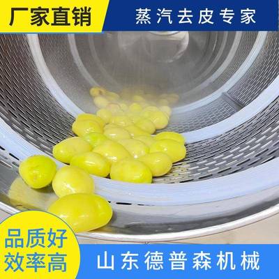 德农普森厂家应供 全自动葡567萄南瓜去皮机 大型蔬产品脱皮果机