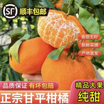 正宗甘平柑橘皇后礼盒当季新鲜水果蜜橘子纯甜小金牛桔子非粑粑柑