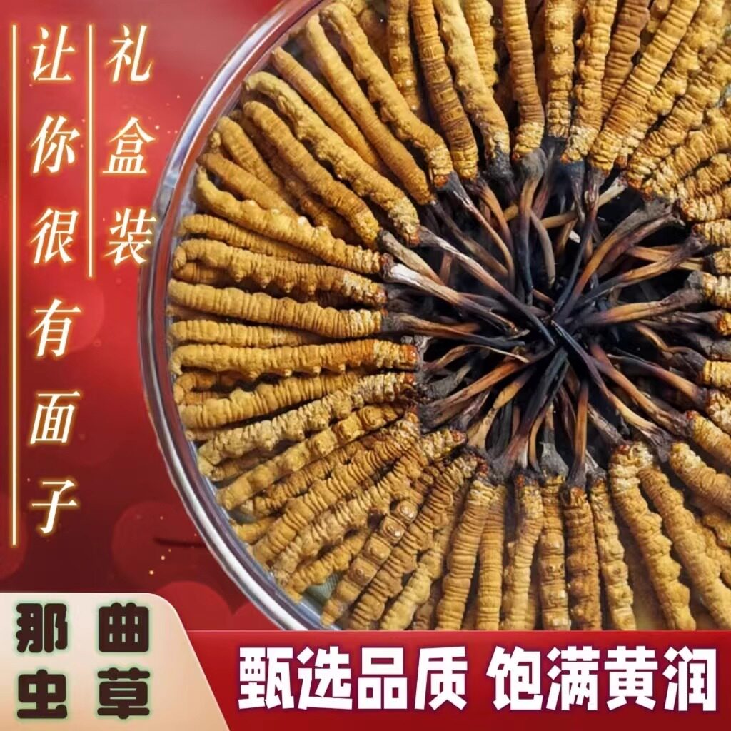 冬虫夏草旗舰店藏区虫草正品头期干货整条西藏特产送礼30克礼盒装