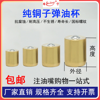 。纯铜弹子油杯黄铜油嘴压配式注油杯弹簧压注式孔用黄油咀M68101