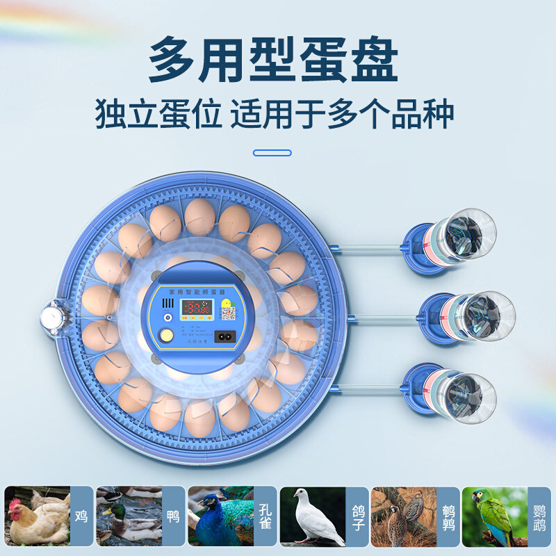 。小飞碟孵化器小型智能全自动孵蛋器家用芦丁小鸡孵化机鹦鹉孵化