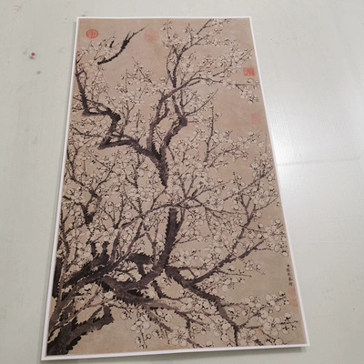 张照墨梅图轴复古书画梅竹国画真