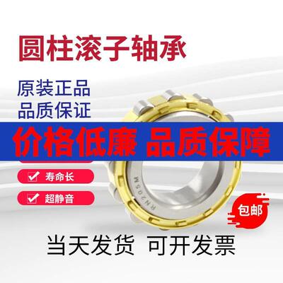 无外圈圆柱滚子轴承RN305M 306 307 308 309 310 311 312 313EM