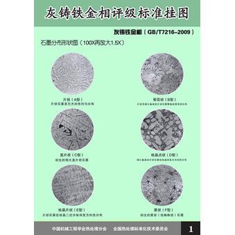 铸铁金相评级标准挂图(GB/T7216-2009)/(GB/T9441-2009)