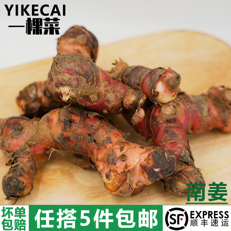 【YIKECAI】南姜500g 新鲜芦苇姜 泰式冬阴功汤调料火锅底料生姜