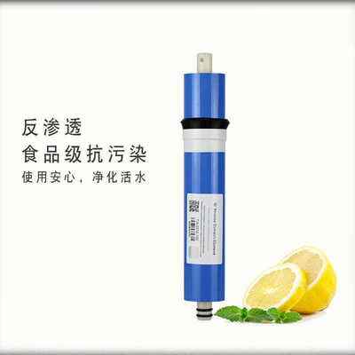 反渗透ro膜滤芯TW-2012-100G 75G125G200G400G净水器纯水机家用