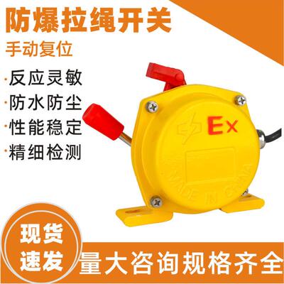 双出线孔防爆双向拉绳开关BKL1-II EXKLT2-IIBXYLS-II 输送带急停