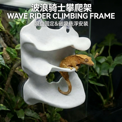 爬宠攀爬架波浪骑士睫角守宫吸附式悬浮平台躲避屋晒台饲养缸造景
