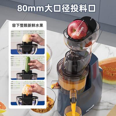 m小onda蒙达榨汁SJ-0机家用多功能汁分离果汁机渣家用型原机汁全