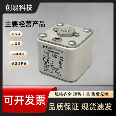 170M4443 170M4444 170M4445 170M4446 170M4447熔断器170M系列