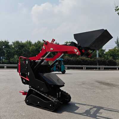 源头厂家迷你滑移装载机 家用多功能站驾铲车 skid-steer loader