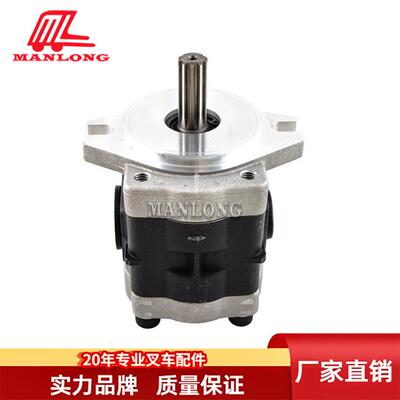 叉车配件液压泵10TDSG05A9F2H1-R252C电动叉车配件液压泵