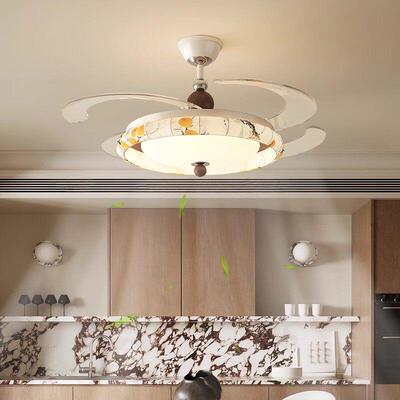 风扇灯灯2厅025新款客吊灯RL8081中古风静音智能一体吊扇灯餐主卧