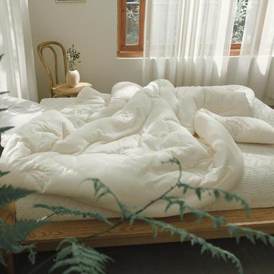 夏季被子AGPT类纯棉豆纤维春秋被芯棉被大冬被暖保四亲季通用肤透