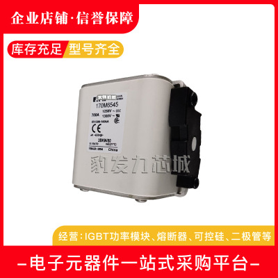 170M6544 170M6545 170M6546 170M6547 170M6548 170M6549熔断器