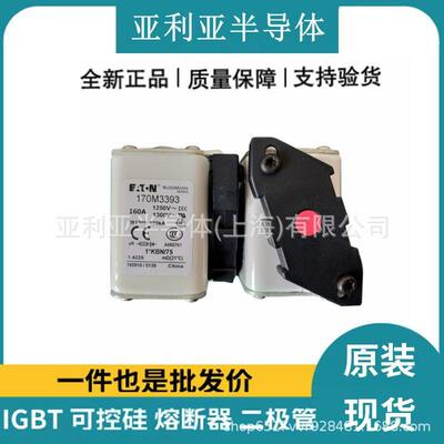 快速直流熔断器保护装置170M3393170M3394电子元器件原标现货