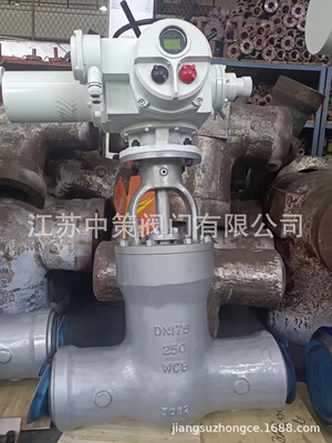 Z961Y-P54100V P54140V P54170V (20CrMoV) 电动高温高压闸阀