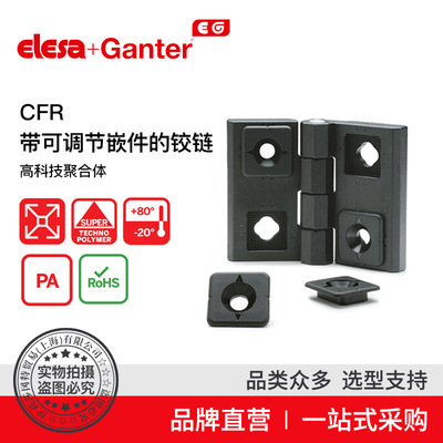 Elesa Ganter伊莉莎冈特 CFR.带可调节嵌件的铰链 高科技聚合体