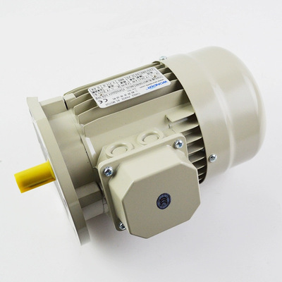 三相异步电机MS7126/B5220V