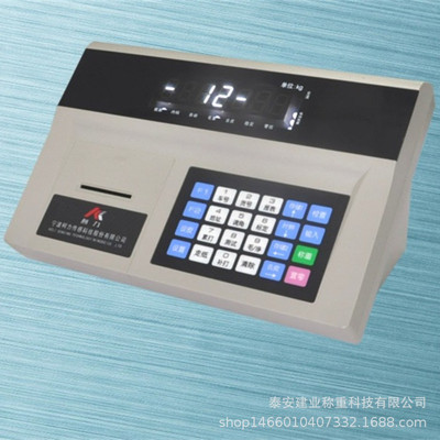 称重仪表 D12RP1 称重仪表 D12RP1 称重仪表 D12RP1  称重仪表