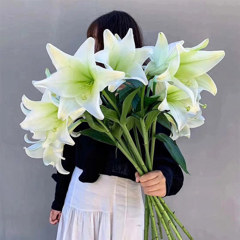 铁炮百合鲜花鲜切花基地直H批水养花白色真花顺丰