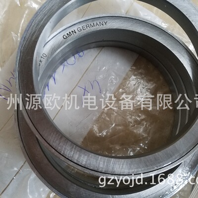 L42X55X10 原装德国GMN金属迷宫密封圈L系列