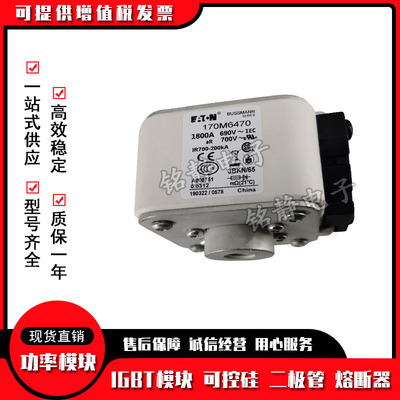 170M6344-170M6349熔断器