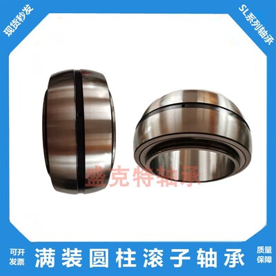 双列密封满装圆柱滚子轴承SL182110 183010 185010 183012 185012