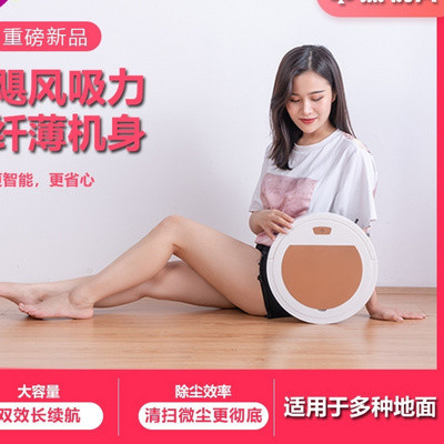 Multifunctional Robot Vacuum Cleaner Srt Sweeping Robot