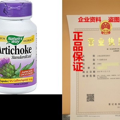 Natures Way Artichoke Std