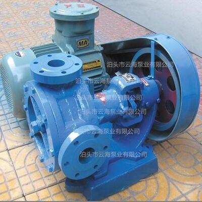 NCB150/0.5胶水泵NCB-60/0.5油漆泵树脂输送泵