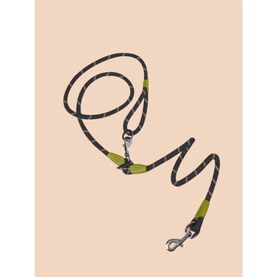 Dog Leash Forehead Shoulder Running FreeHands Reflective Pet