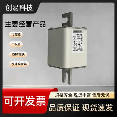 巴斯曼熔断器170M5138 170M5139 170M5140 170M5141全新现货供应