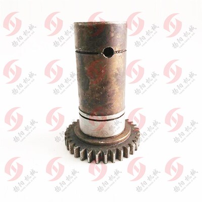 中捷摇臂钻床齿轮Z3032/Z3025*10电机齿轮21318C 齿数32 内孔28