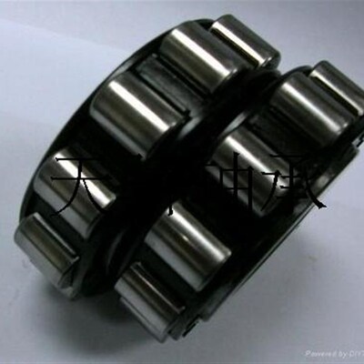 61017YSX 整体偏心  进口轴承 25UZ85