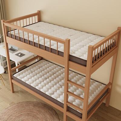 天椰棕床垫硬垫子家用卧室偏RVJ硬棕然榈1腰护脊0厘米床垫租护房