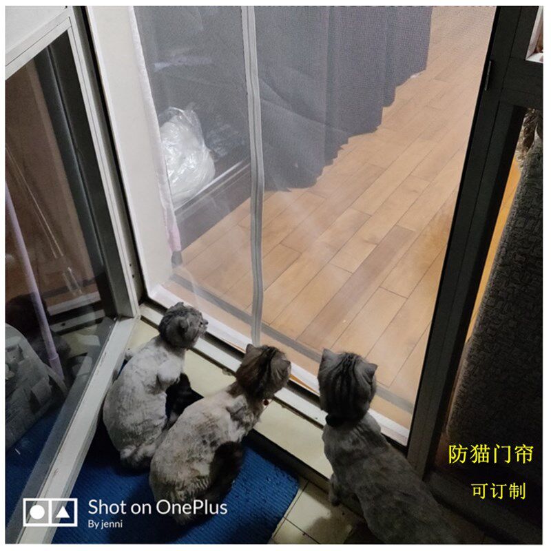 防猫门帘软隔断 宠物防逃门帘 无轨软纱门 订制纱窗门