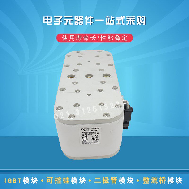 巴斯曼熔断器保险丝170M7649 7651 7658 7659 7666 7671 7676全新