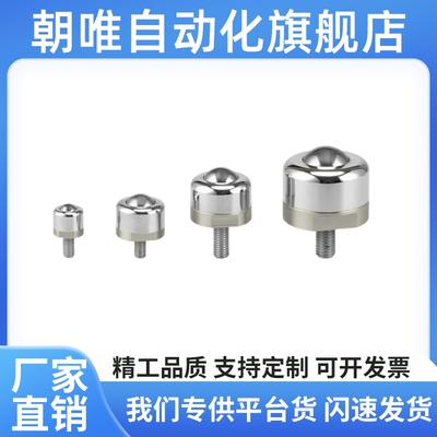 钢珠滚轮 BCHL BCHN BCSB BCHPT5 6 8 10 12 16 19 20 24 25 31