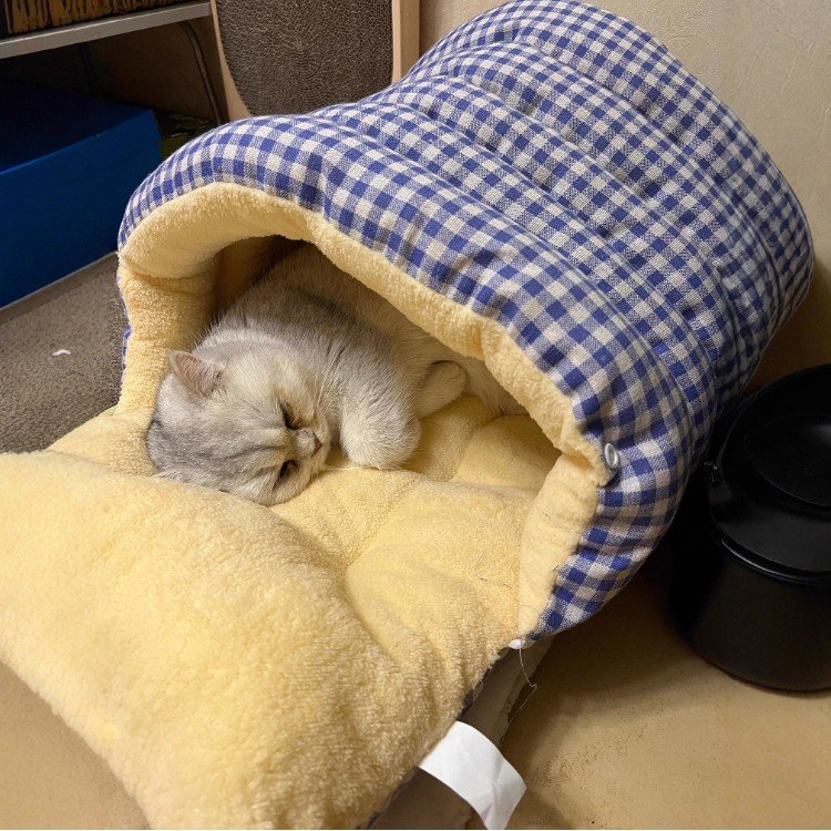 猫窝秋冬季保暖封闭式安全感猫睡袋可拆洗垫子加绒加厚小型犬狗窝