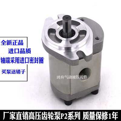 齿轮泵P208RP01DT P211 214 206 216 P222R P225 P233 P219RP01DT