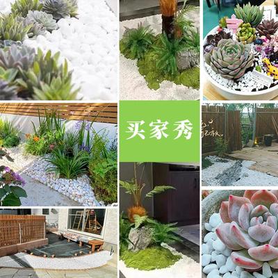 40斤铺白色鹅卵石铺路地天台然庭院阳景石头花园造砾石碎石白石子
