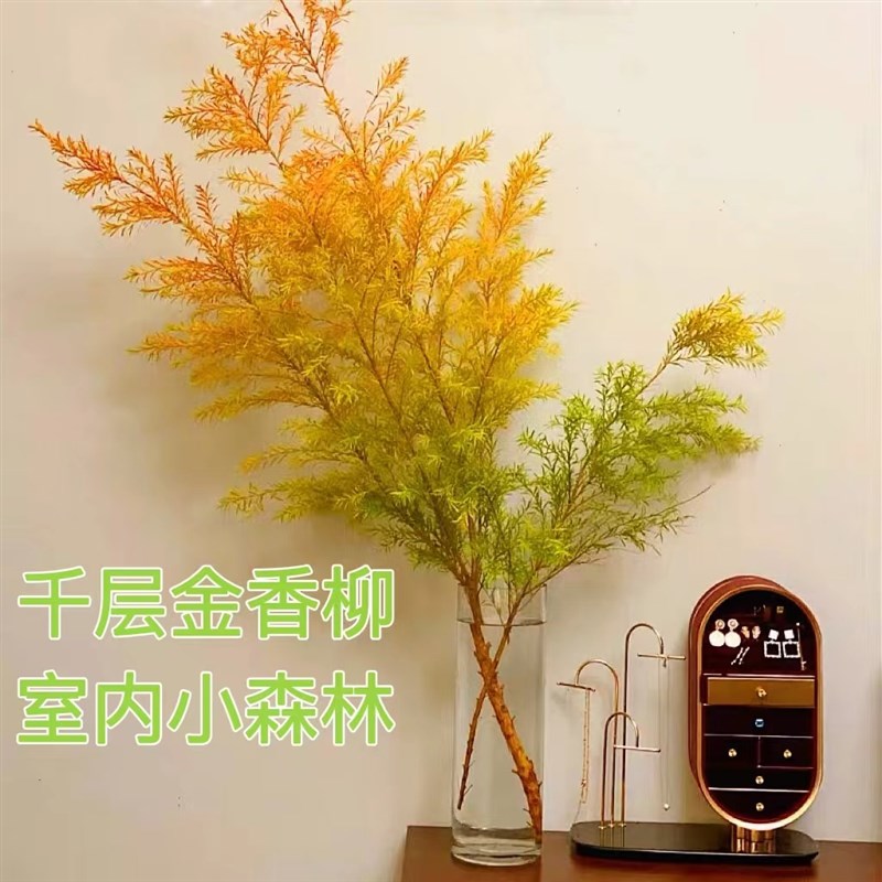 黄金香柳千层金水培n植物鲜切枝室内桌面客厅装饰插花水养绿植顺